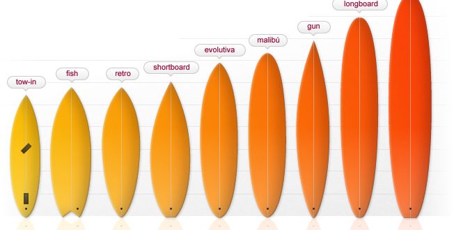 Guía Sobre Los Tipos De Tablas De Surf: Una Tabla Para Cada Tipo De Día ...